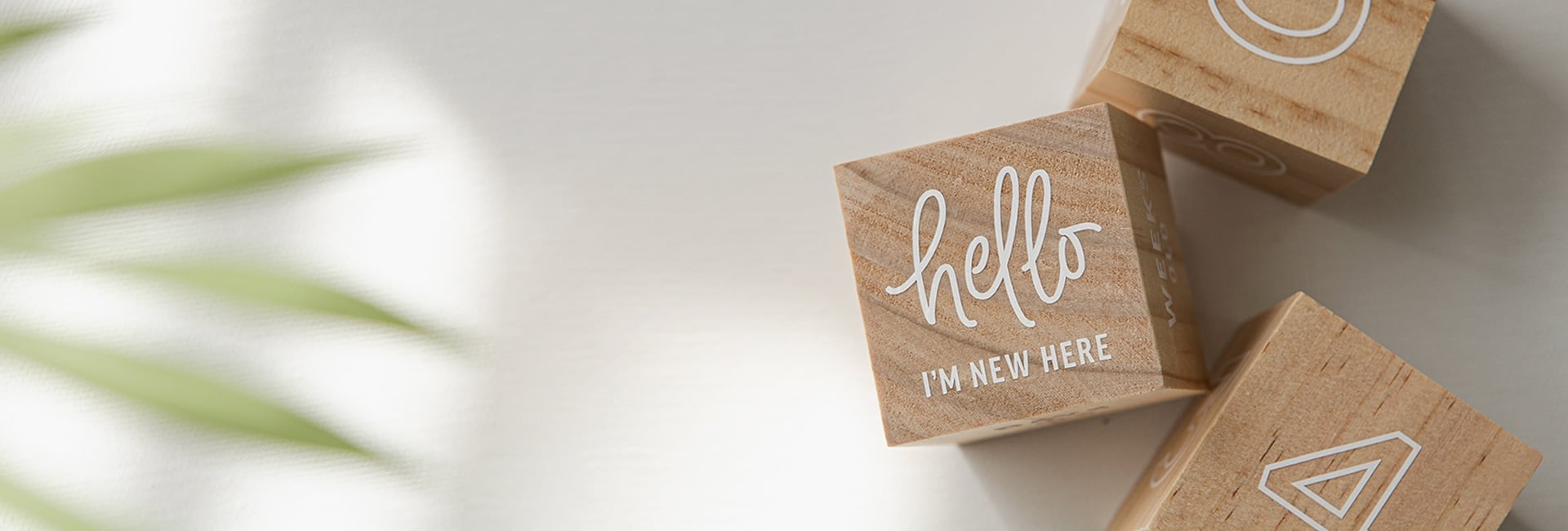 Peg Creative